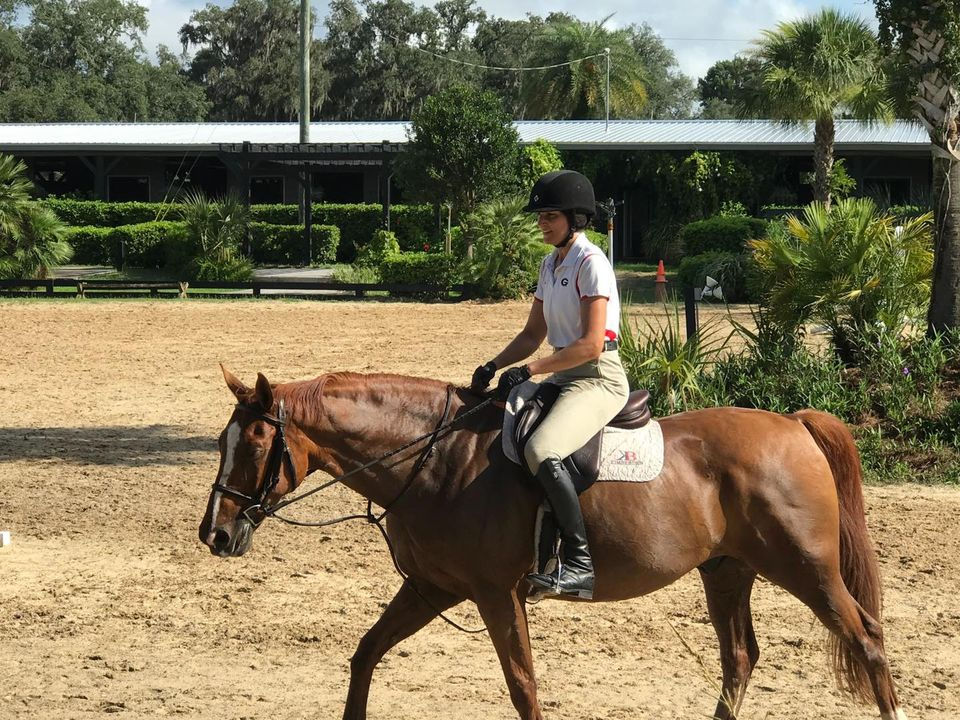 Amanda Wavell DVM | Jacksonville Equine