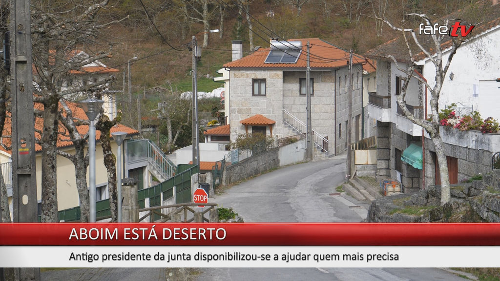 Fafe TV - Fafe em tempo real.