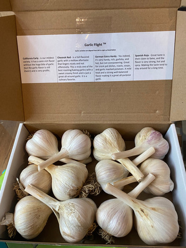 Garlic Flight (TM) - Variety Garlic Box | Farrah's Farm