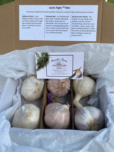 Garlic Flight (TM) - Mini Variety Garlic Box | Farrah's Farm