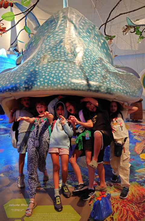 How many kids can fit into the mouth of a whale shark? -- Adventure at ...