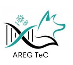 AREG TeC | AREG