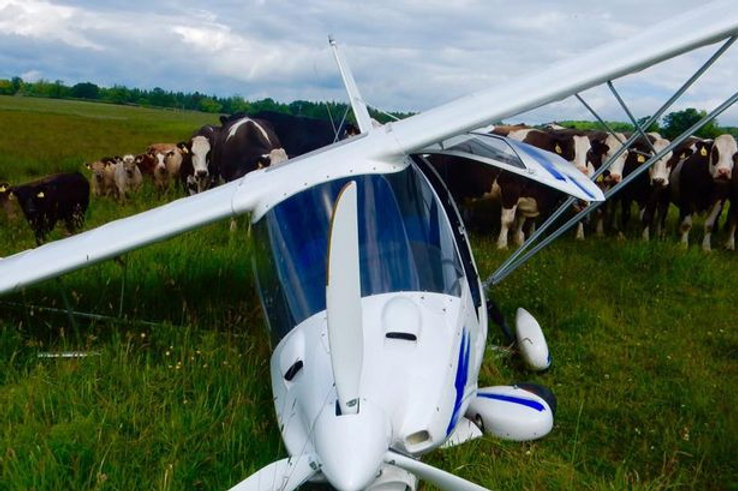Seven tips for handling a forced landing without power. | QuizAero