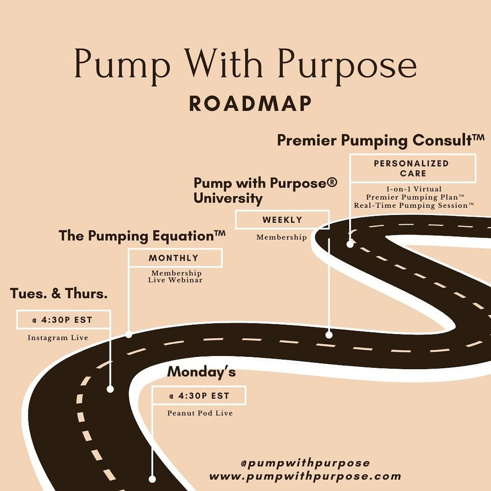Pump with Purpose Roadmap | Pump with Purpose