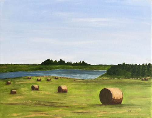 Bales in the Field at Malpeque original oil painting (11 x 14) | June ...