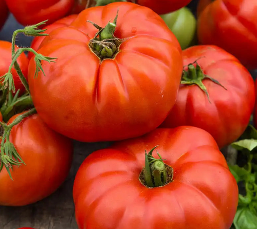 Tomato - Beefsteak | Metamorphic Farms