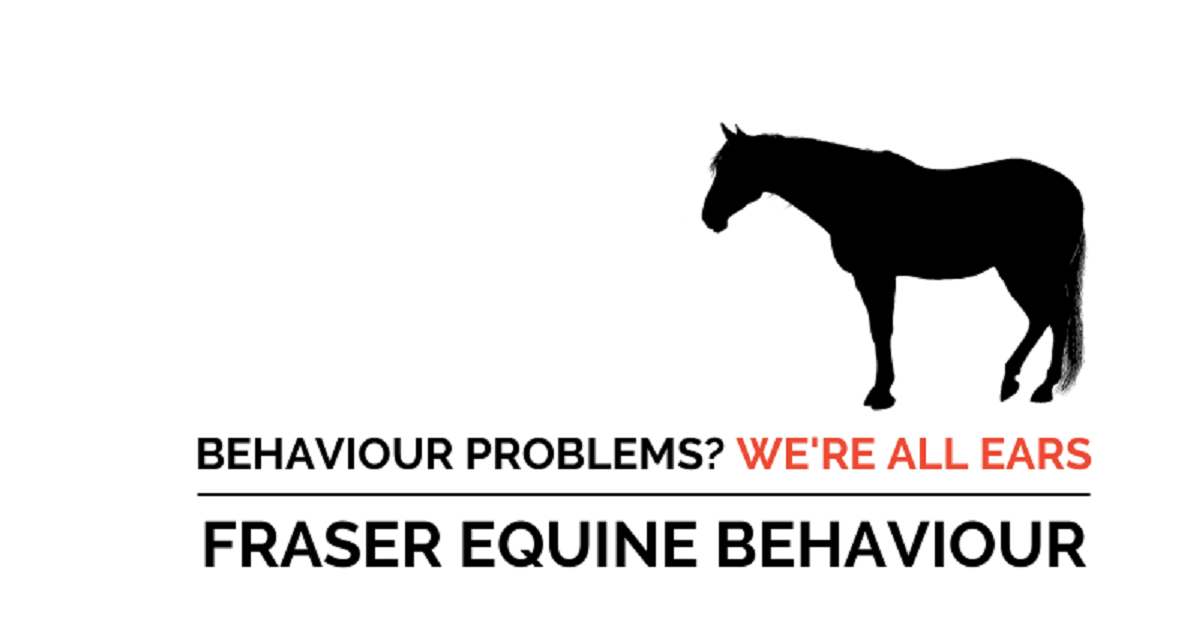 shying horse problem