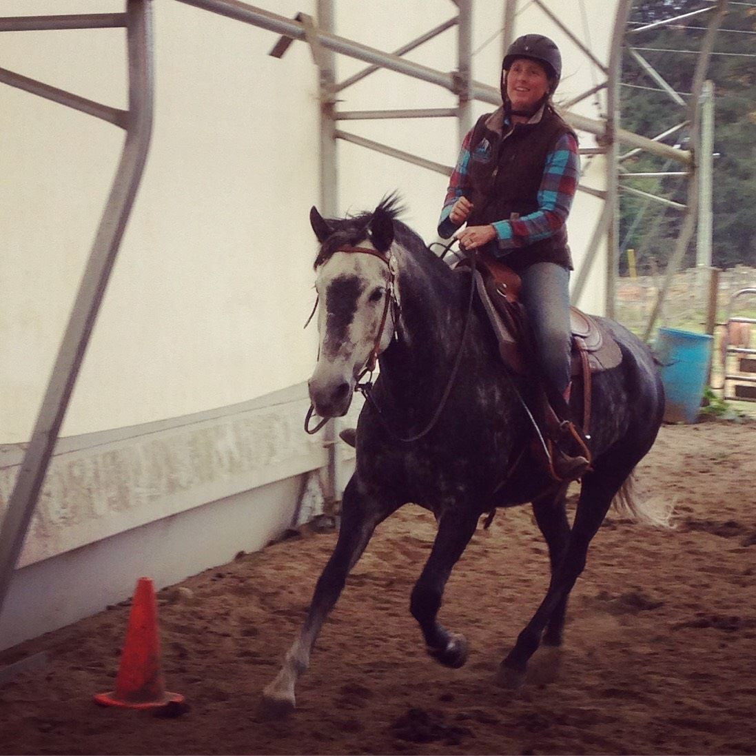 'What the Textbooks Don’t Tell You About Negative Reinforcement' in ...