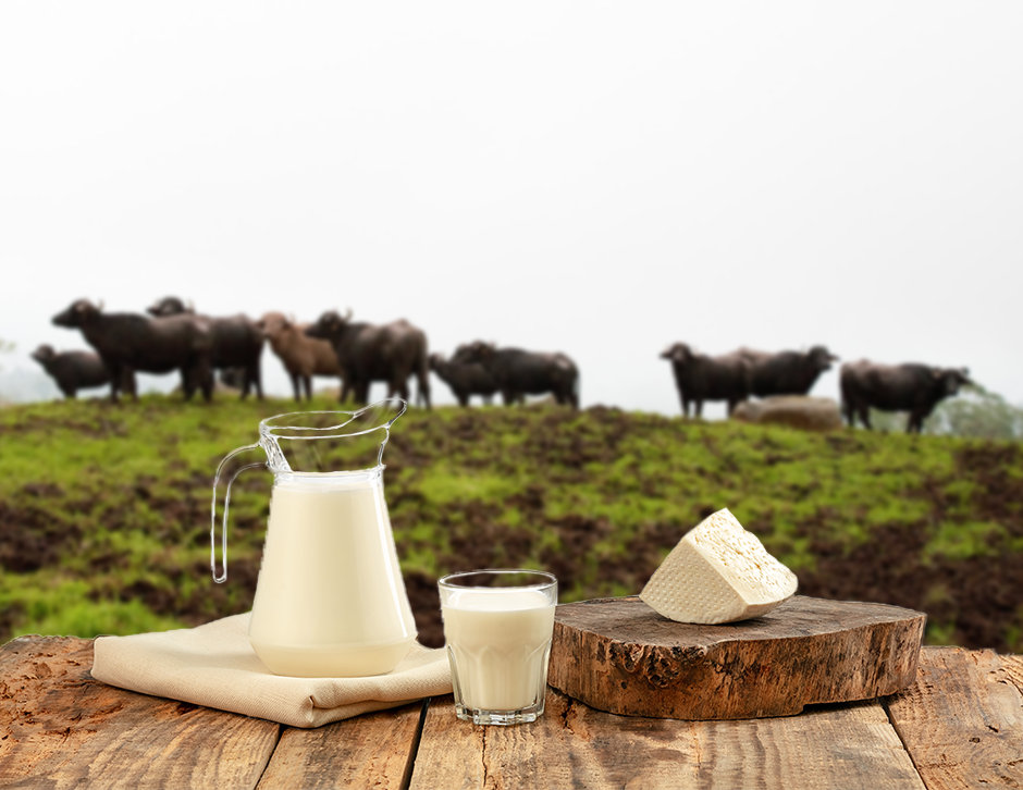 What is A2 Milk? All You Need To Know | Annabella