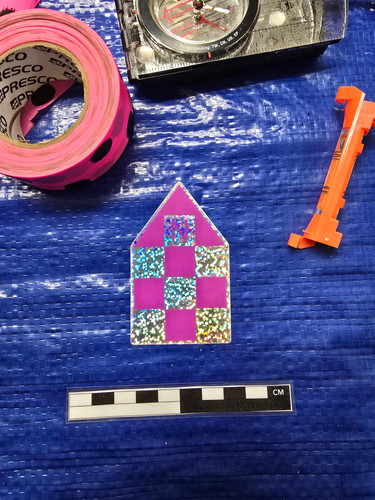 Pink north arrow sticker, glitter hologram | Muddy Historian