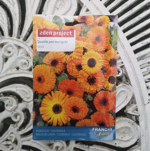 Marigold from Franchi Seeds | The Clean Kilo