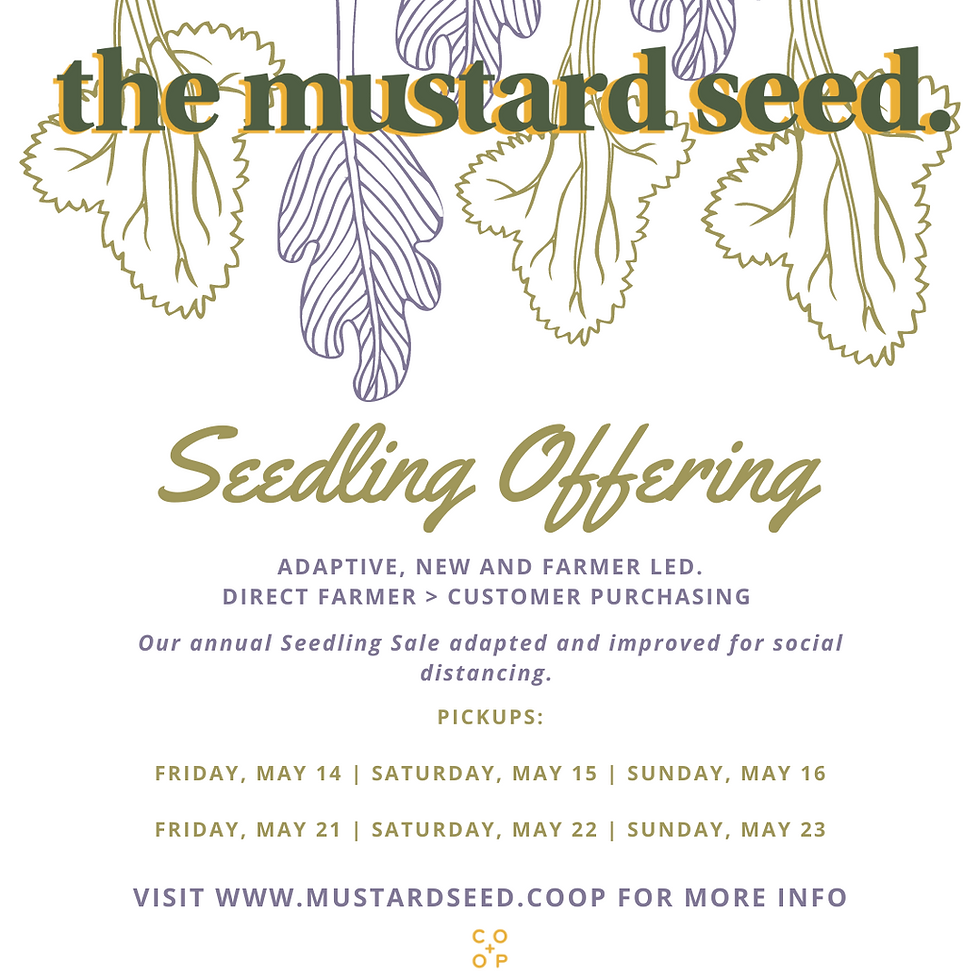 Seedling Sale 2021