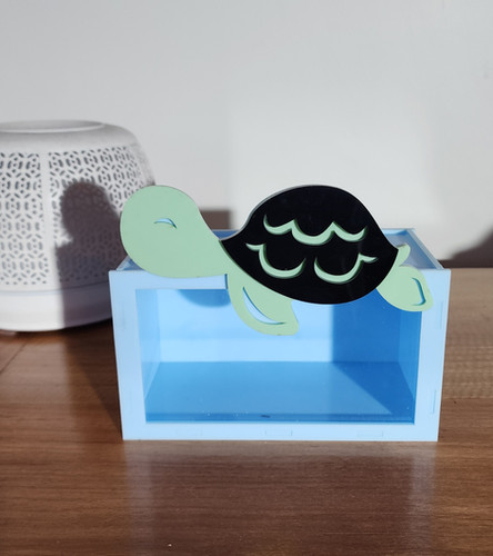 Turtle Money Box | ACB