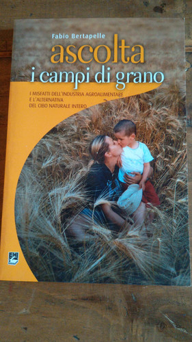 F. Bertapelle - Ascolta i campi di grano - 2008 | VillaMenini