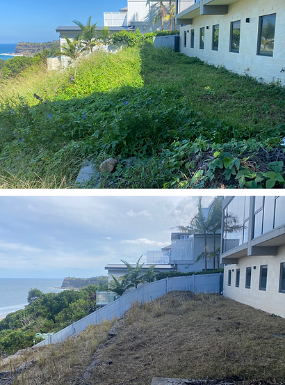 HOW IT WORKS | Sydney Eco Land Clearing