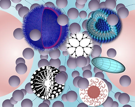Wuge Briscoe research group