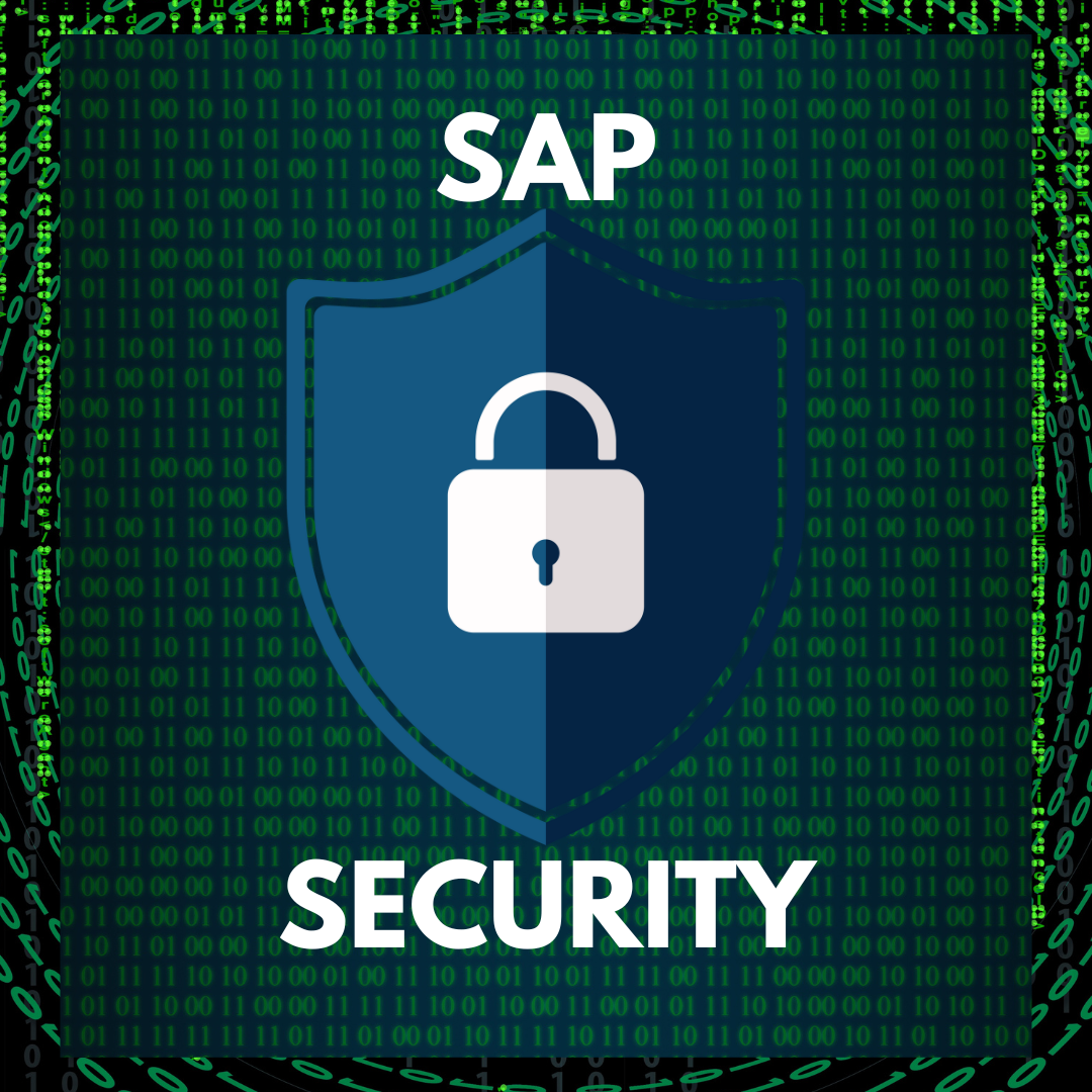 sap security curso | aprenda sap