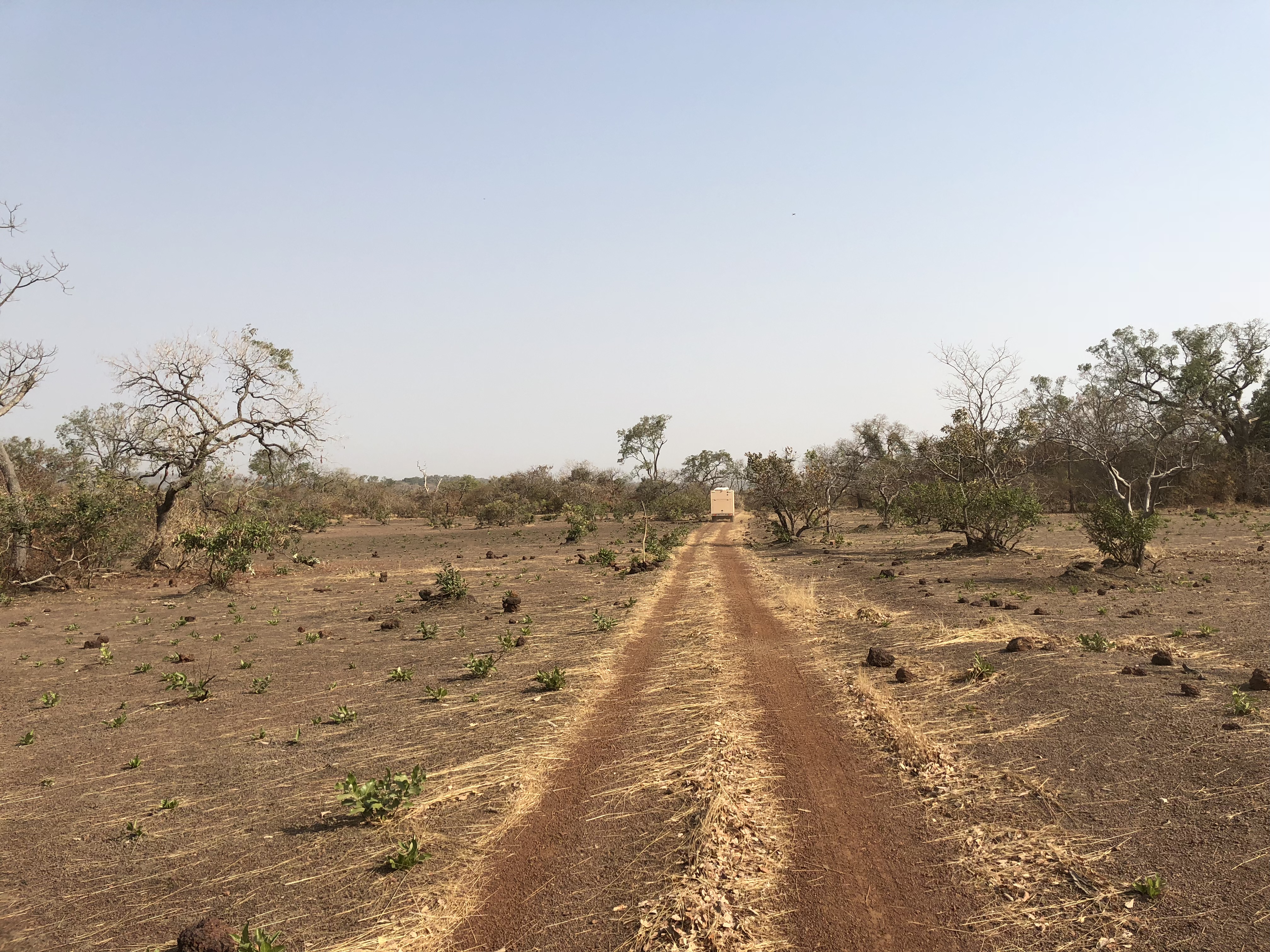 Praesens Foundation | Field Diagnostics | Praesens Fund