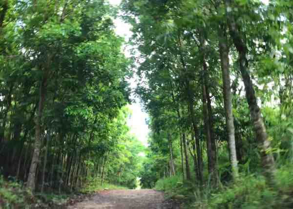 5 Adventures You Can Do In One Day: Rizal, Philippines