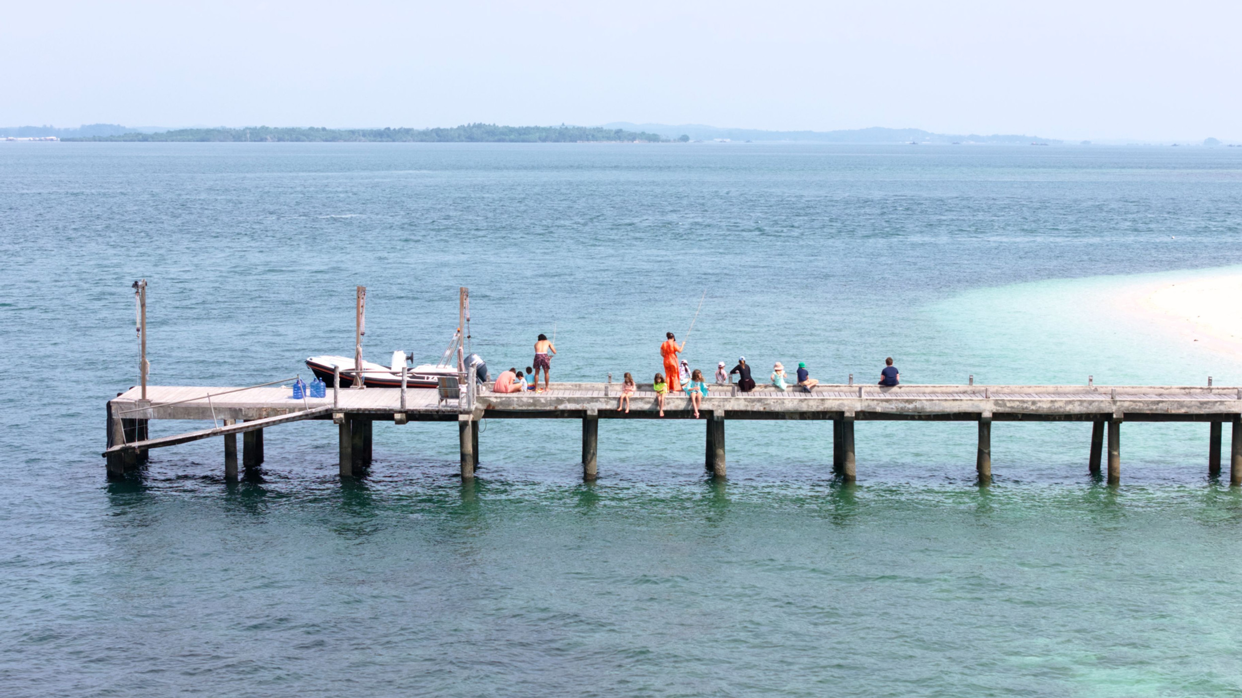 Island Life Newsletter: More Turtles than Guests