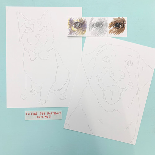 Custom Pet Portrait Outline Kit | Colour and Whim