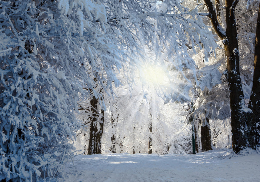 If a Plane Crashed Exactly on the U.S.-Canadian Border by Jeff Mock