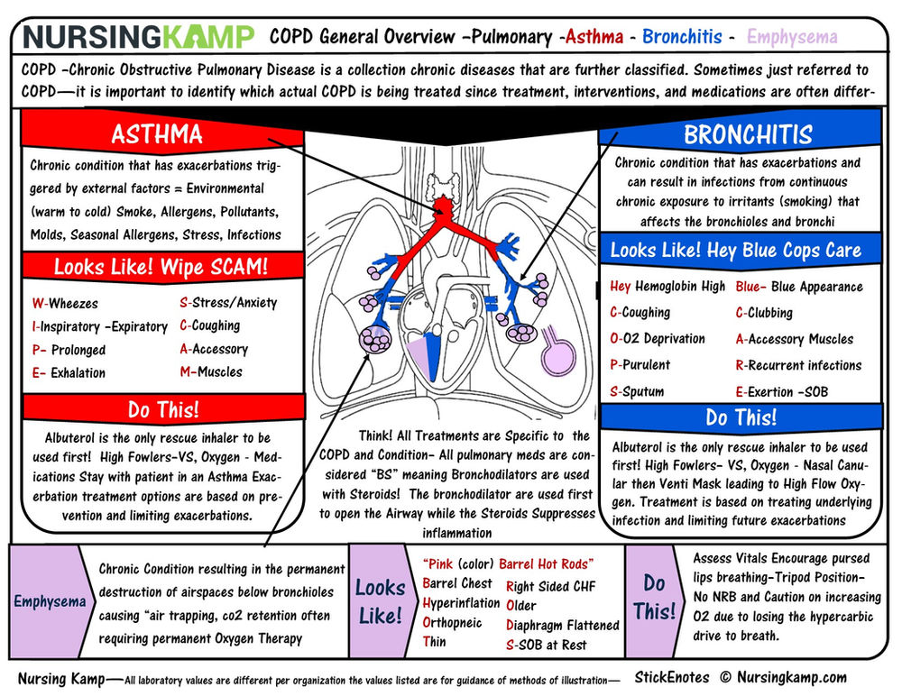 Red Pink & Blue! COPD TYpes