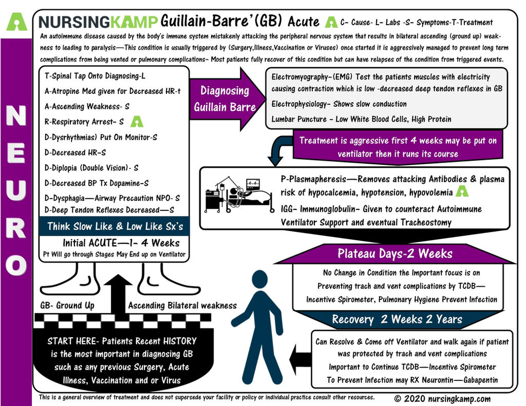 Blog | Nursing KAMP Members