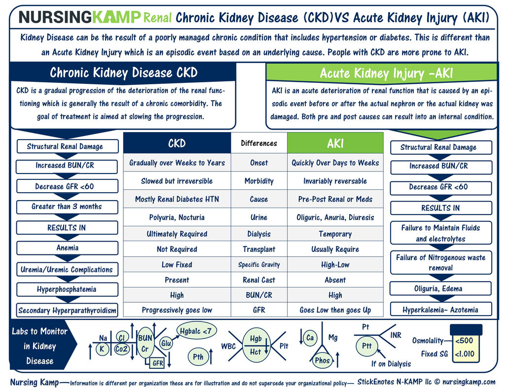 Home | Nursing KAMP Members