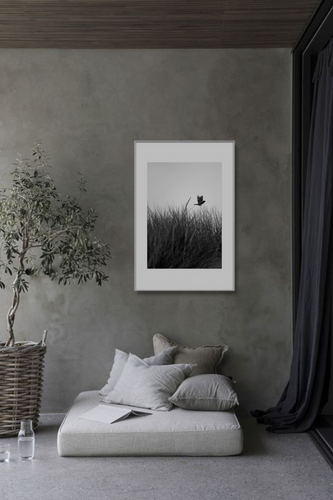 The Elongated Picture Frame | Frames Online