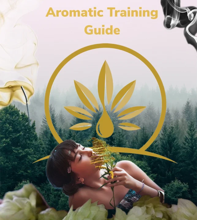 Your Comprehensive Guide to Aromatic Training