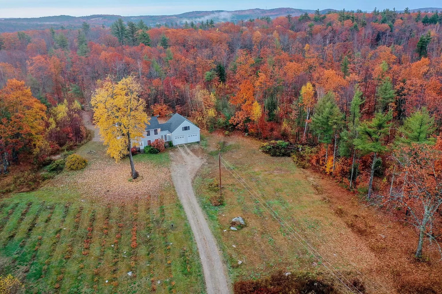 Serenity Farm & Woods | Nature Vacations and Holidays for Dogs and Humans