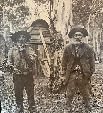 Home | Sutton Forest Inn