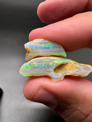 Opalised shell - pipi / cockle | Wonambi Opal