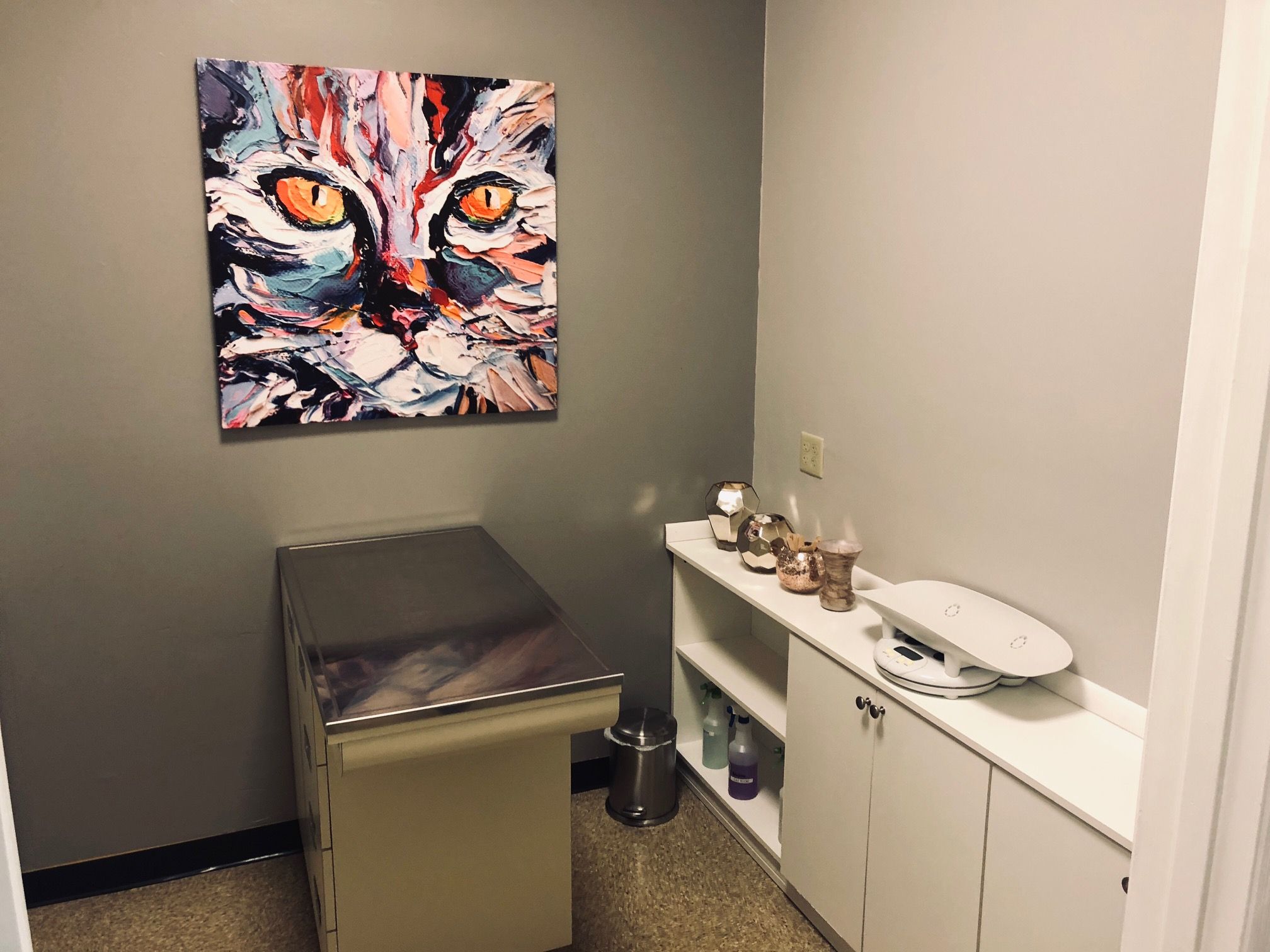 Hope and Love Veterinary Hospital |Quality Experience|Monthly Specials
