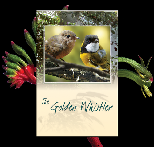 Golden Whistler | Wild-Card AU