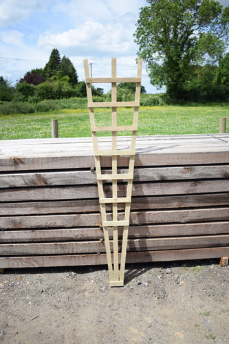 Wide Fan Trellis - 6ft | SB-Timber & Fencing