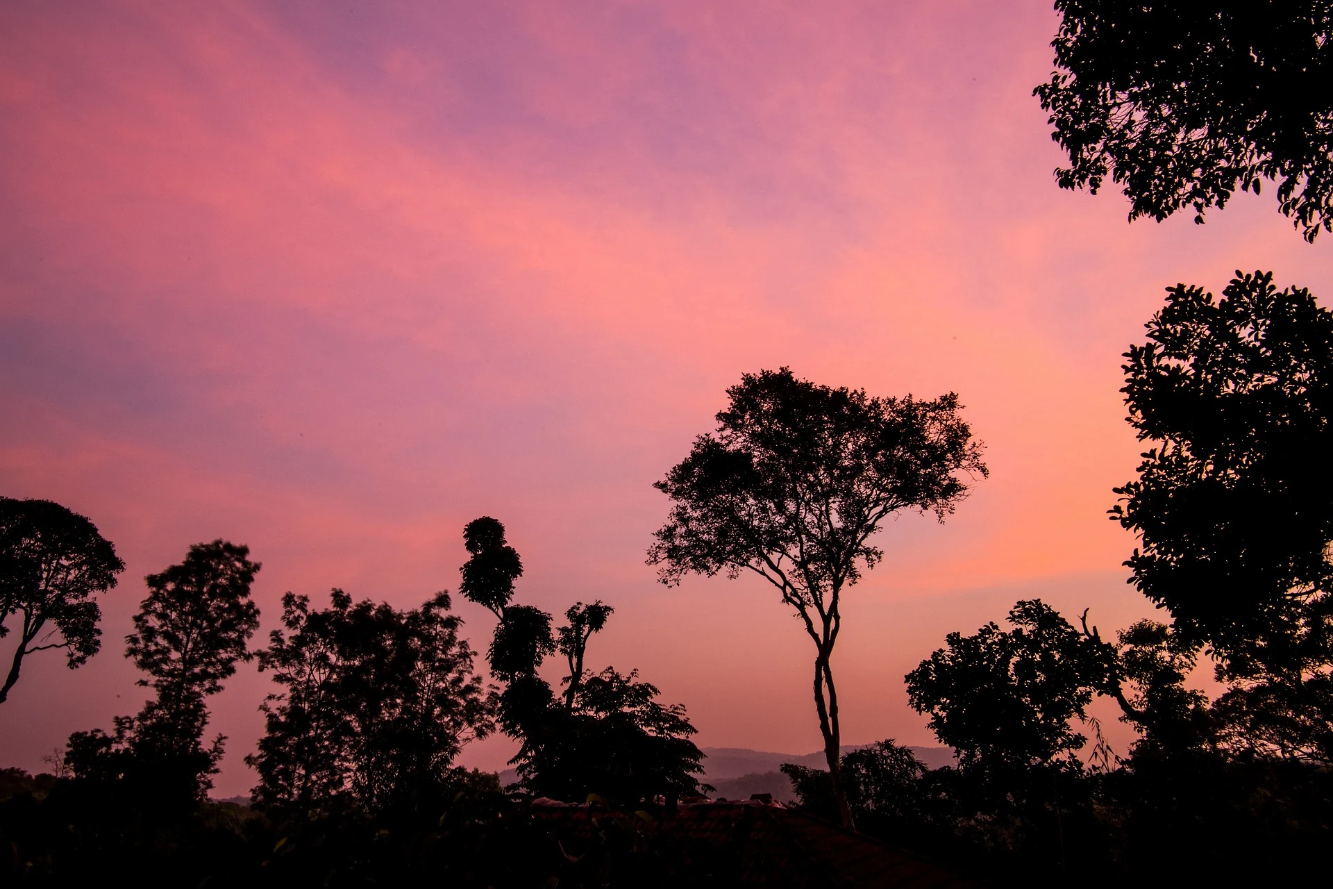 Coorg Itinerary 3 Days: Unveiling Nature's Bounty