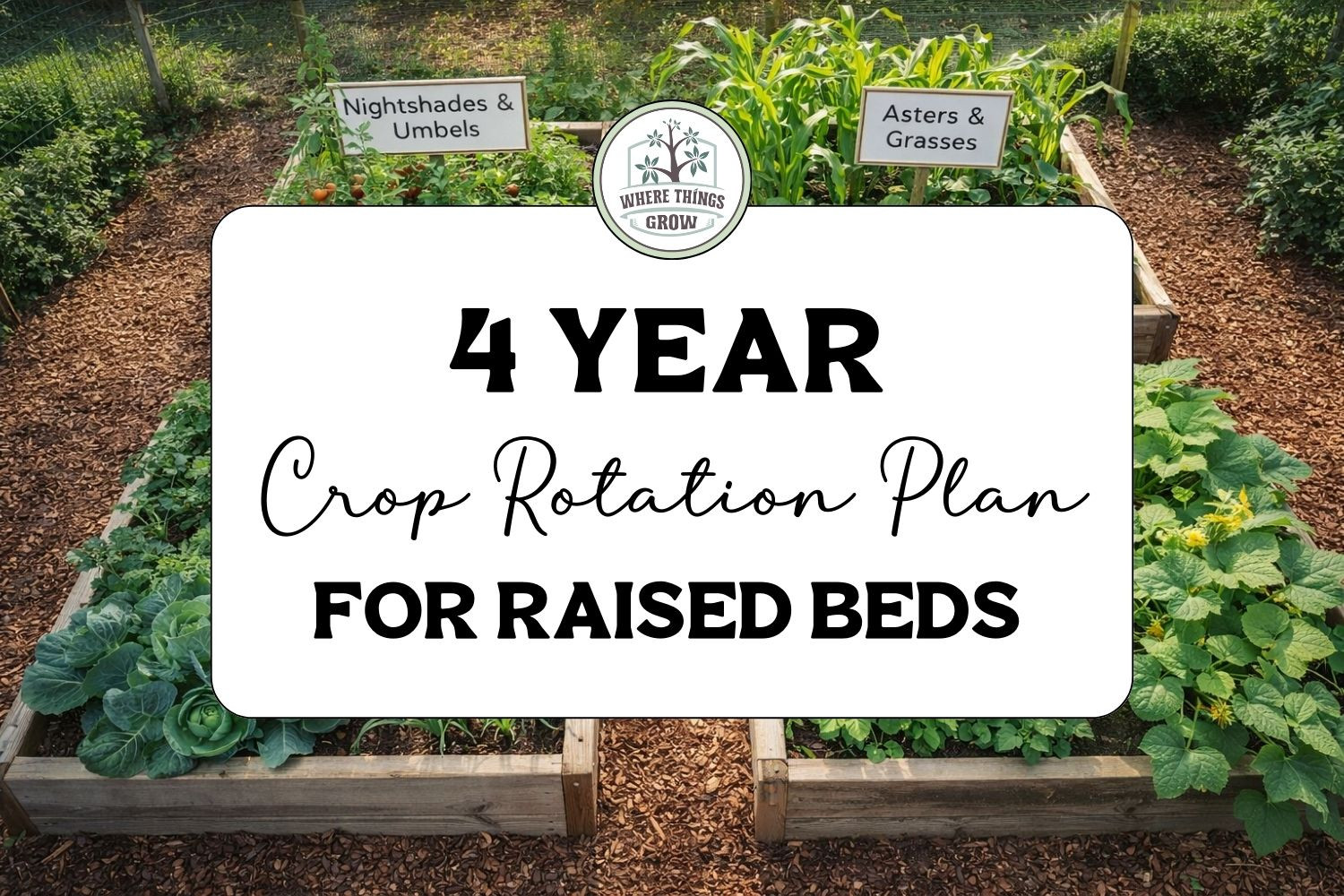 4 Year Crop Rotation Plan for Raised Beds