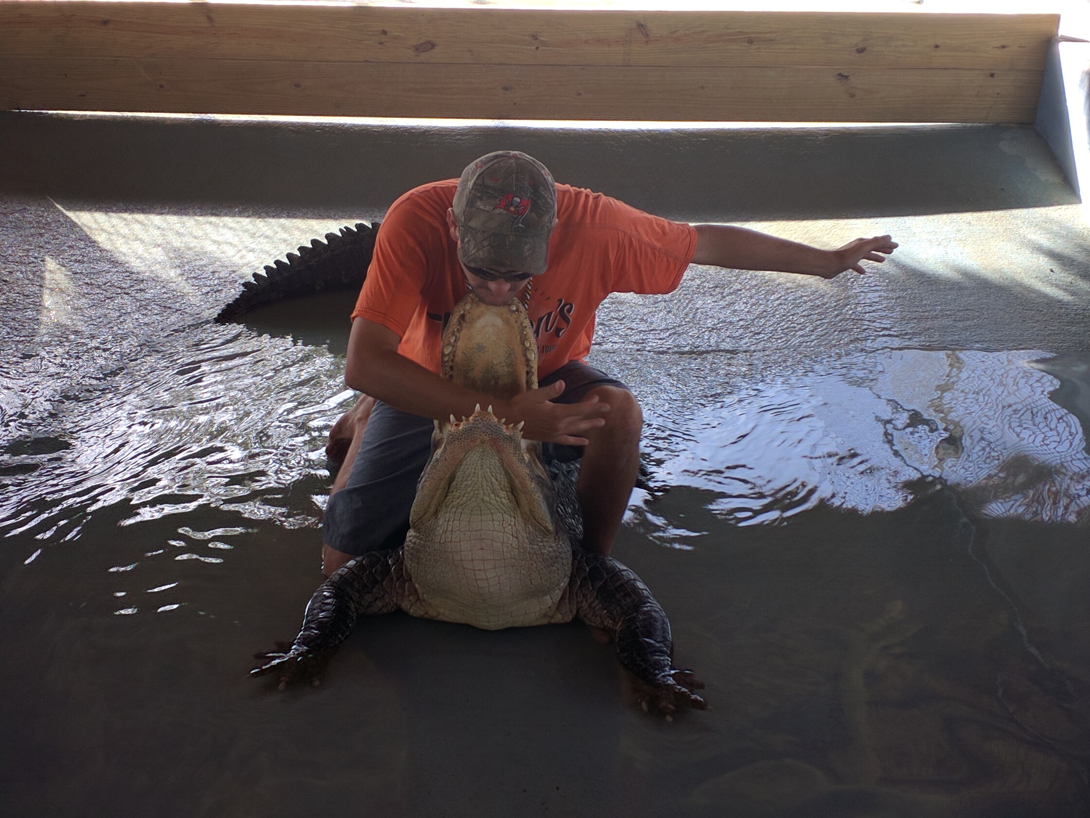 Gallery | everglades