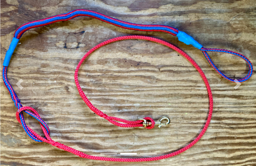 Bungee Lines | Northbound Huskies