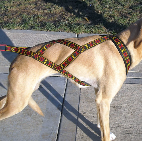 Standard Harness | Northbound Huskies