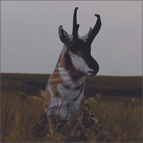 Heads Up Decoy Pronghorn | Coyote Creek Archery