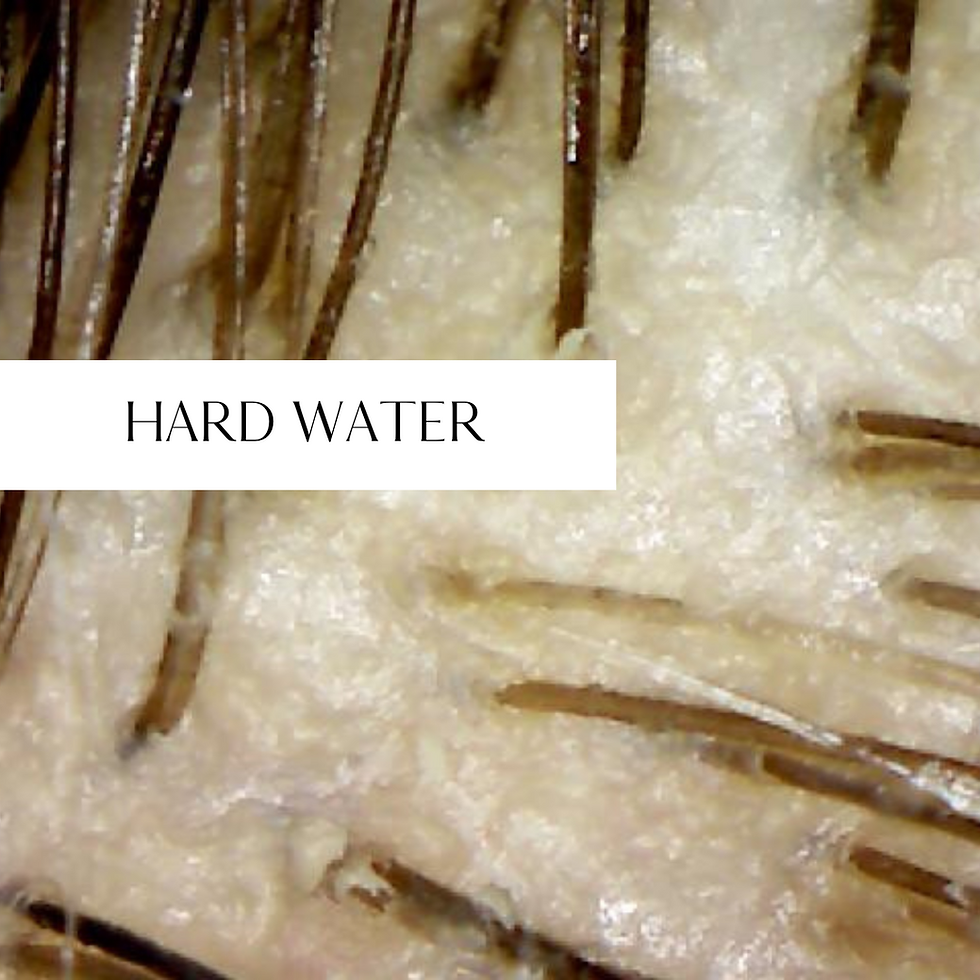 Hard Water Woes: What It’s Doing to Your Hair (and How to Fix It)