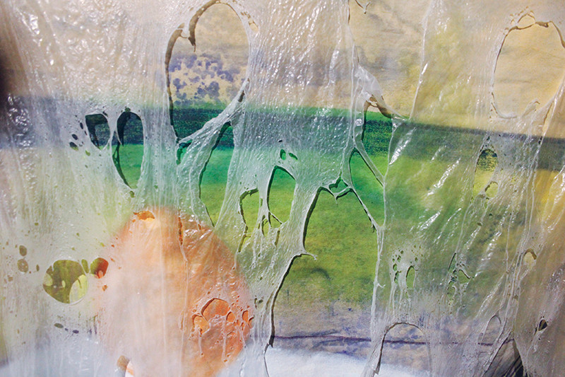 Hošek Contemporary | Alice Morey