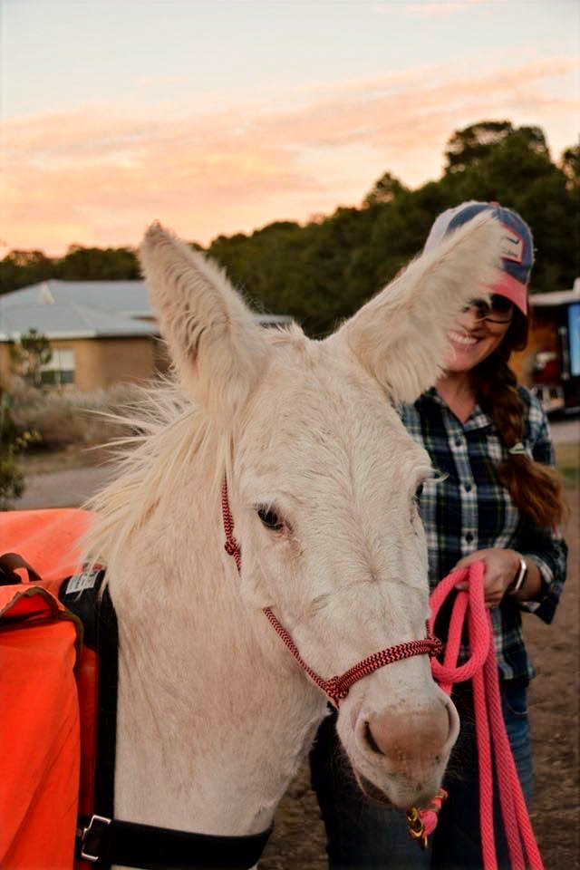 Individual Race Information | NM Pack Burros