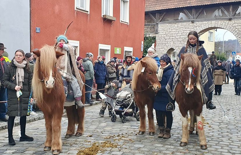 Islandpferdehof Wolfsricht, Stephanie Menges, Reitschule | Reiten
