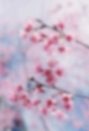 Emma Colvin.com | Bellsquarry Livingston | Family Dentistry