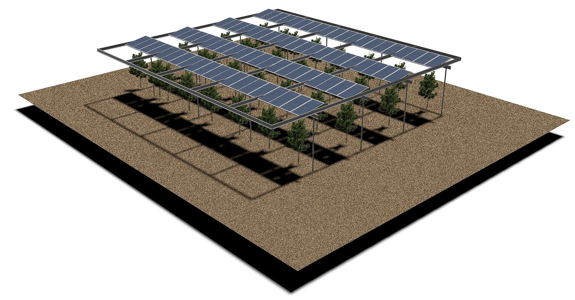 Peaches, Grapes, & The Agrivoltaic Farm Of The Future - CleanTechnica