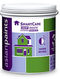 Asian Paints Smartcare Damp Sheath Advanced | MahalakshmiAgenciess